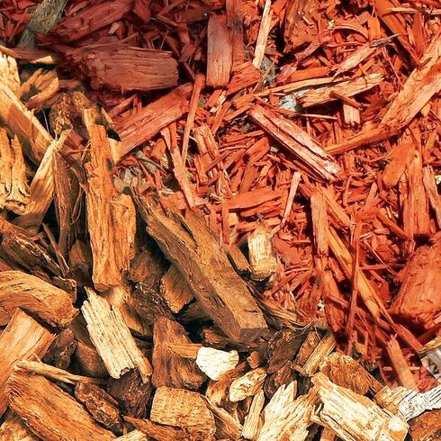 ANIMA NERA Parfum D19 - Essenza 30% - Ispirato a Alien (Mugler) 15 ml | Animaneraparfum