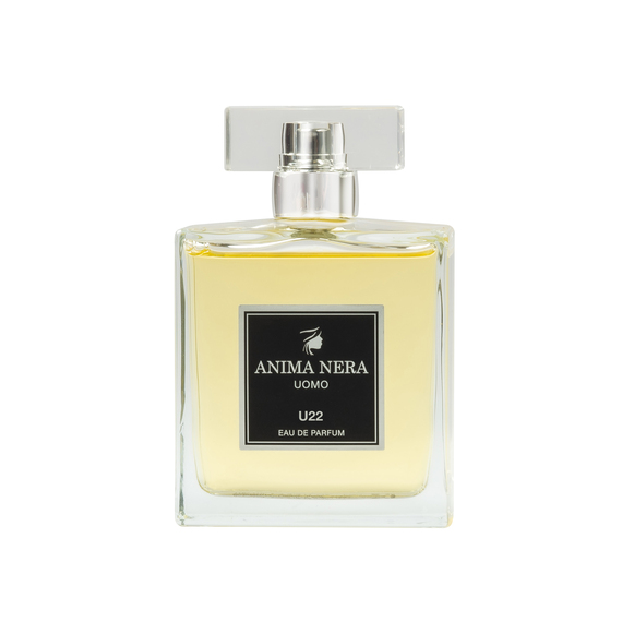 ANIMA NERA Parfum U22 - Essenza 30% - Ispirato a JPG (Jean Paul Gaultier) 100 ml | Animaneraparfum